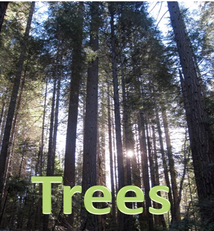 Build a Food Chain Game - CSERC