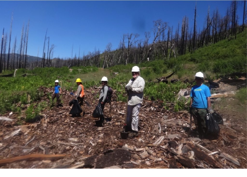 Project sites range from degraded meadows to eroded forest streams - CSERC