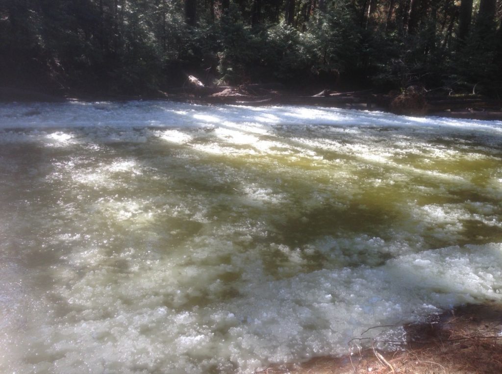 RECENT SIGHTING OF FRAZIL ICE IN THE STREAM BENEATH YOSEMITE FALL - CSERC