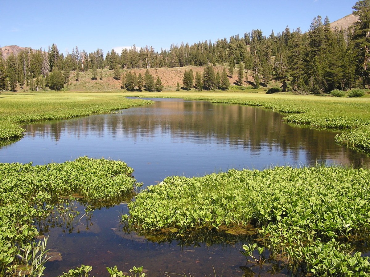 State launches “30 X 30” plan to conserve natural values - CSERC