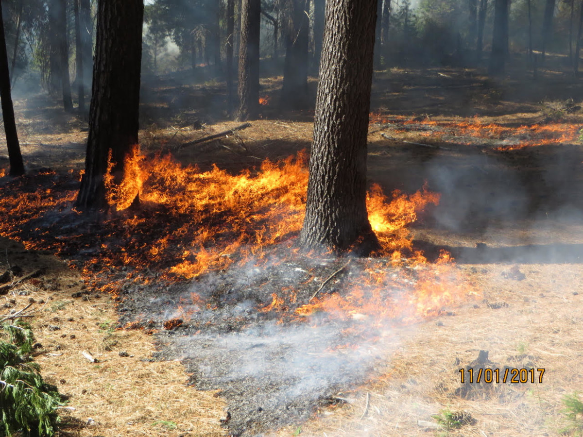 “Good Fire” could help control catastrophes - CSERC