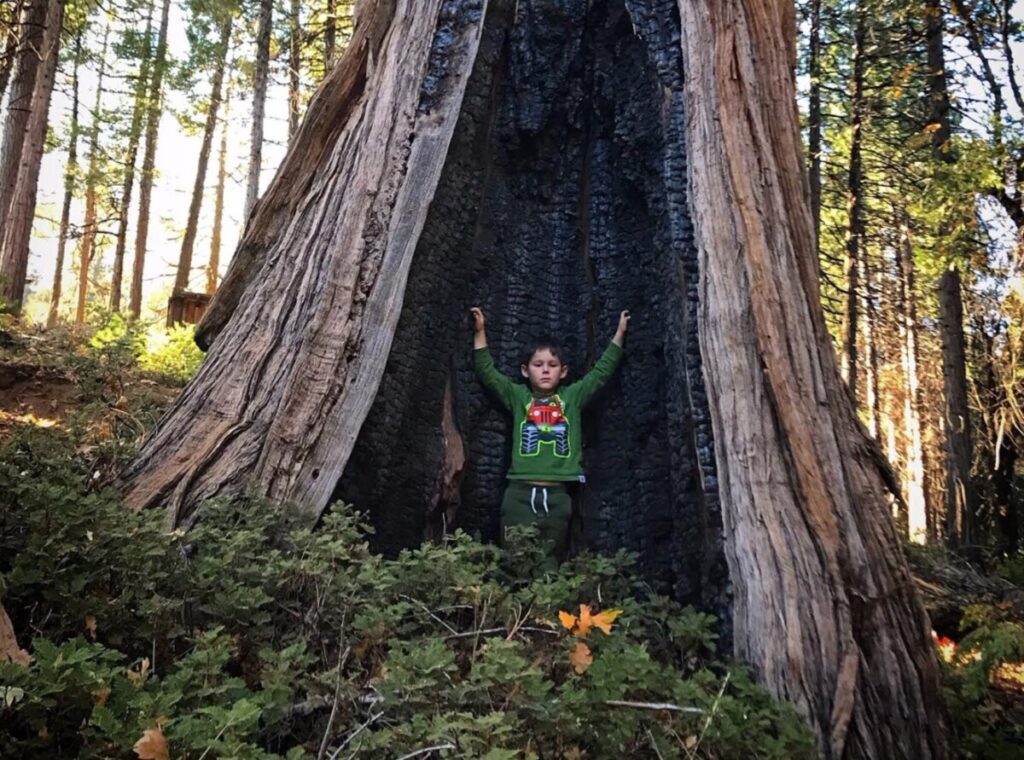 Kids’ Nature Games - CSERC